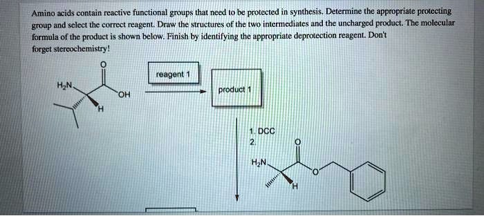 SOLVED: Amino acids contain reactive functional groups that need to be ...