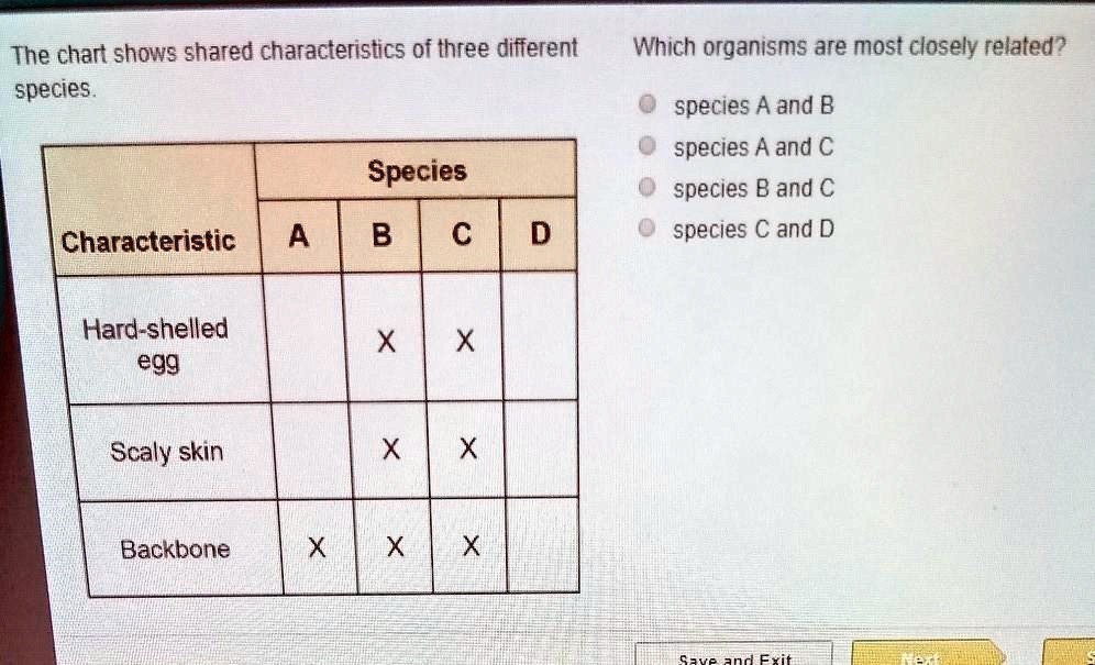 The chart shows shared characteristics of three different species ...