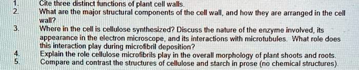 cite ihree distinct functions of plant cell walls what are the major ...