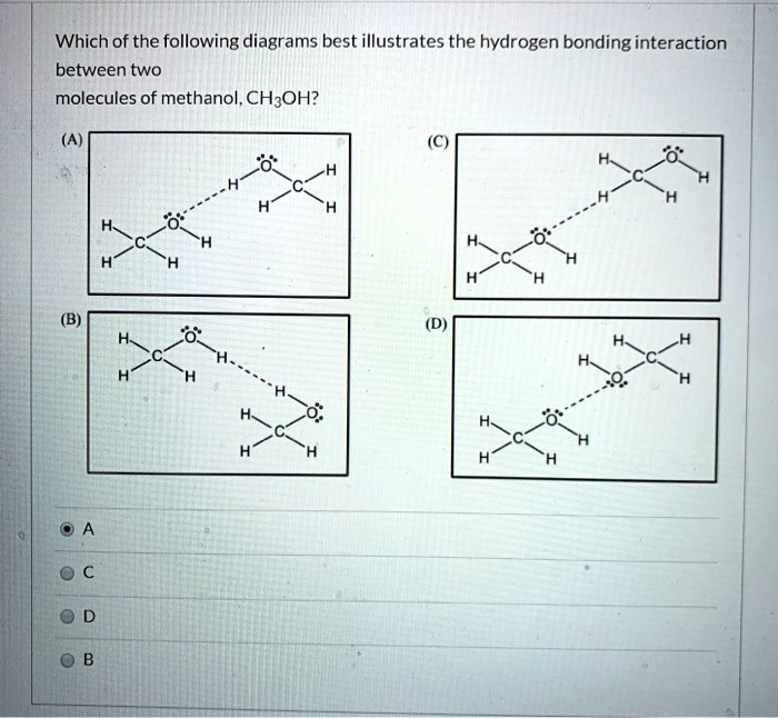 which of the following diagrams best illustrates the hydrogen bonding ...