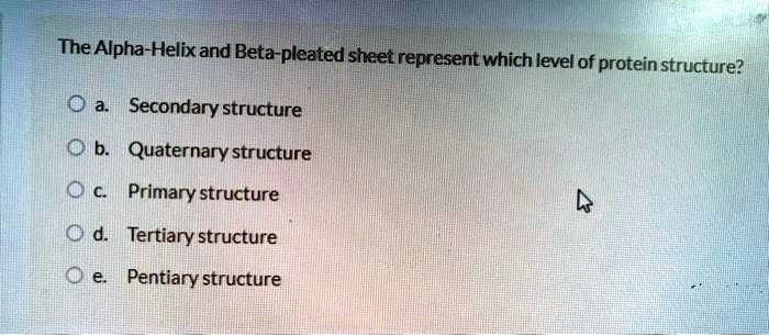 the alpha helixand beta pleated sheet represent which level of protein ...