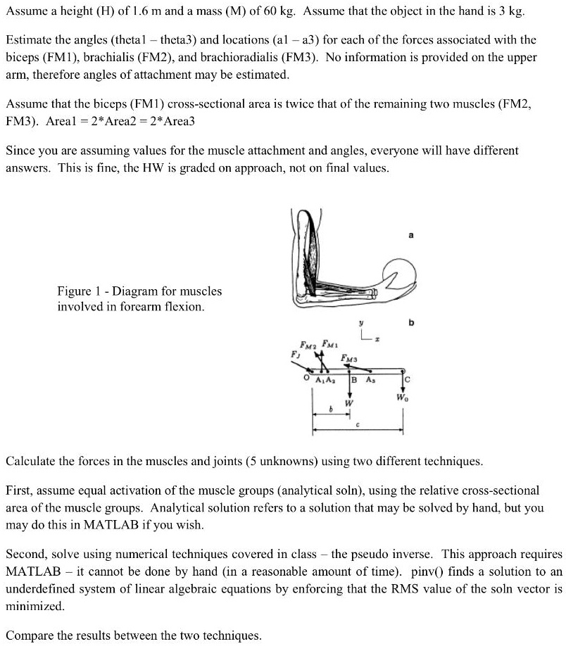 assume height h of 16 m and a mass m of 60 kg assume that the object in ...