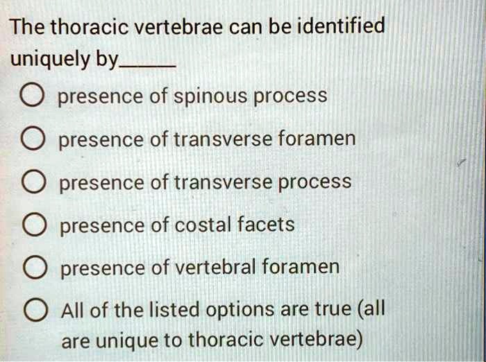 SOLVED: The thoracic vertebrae can be identified uniquely by ...