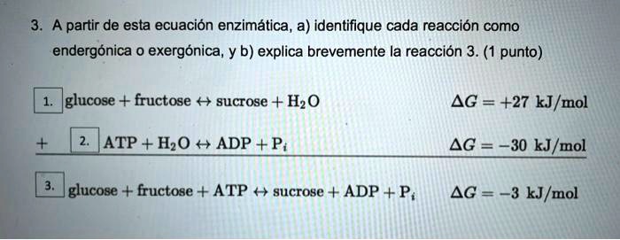 3. A partir de esta ecuación enzimática, a) identifique cada reacción ...