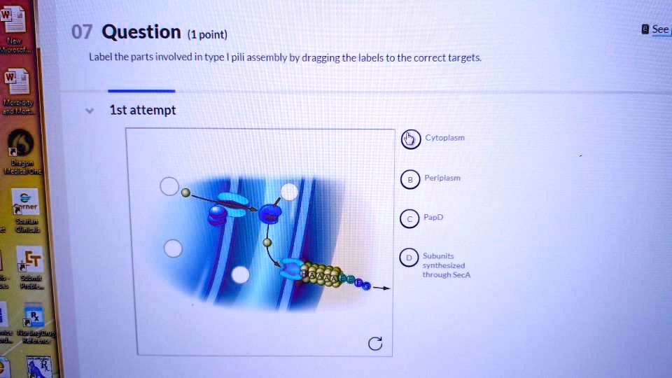 SOLVED: Text: 07 Question (1 point) Label the parts involved in type ...