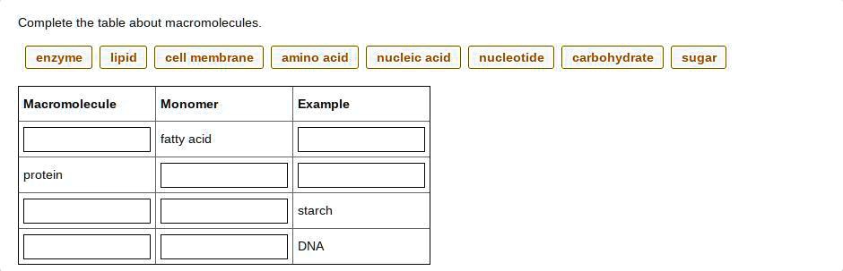 SOLVED: Complete the table about macromolecules. Macromolecule Monomer Example enzyme amino acid ...