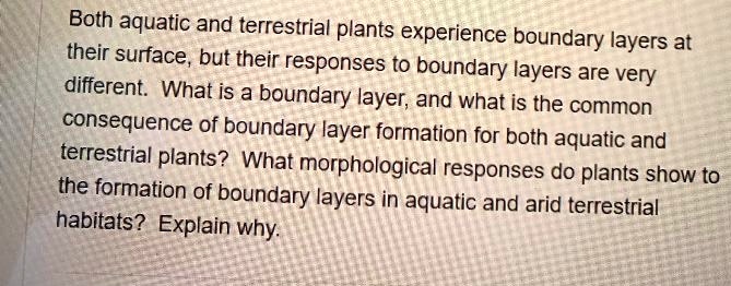 Both aquatic and terrestrial plants experience boundary...