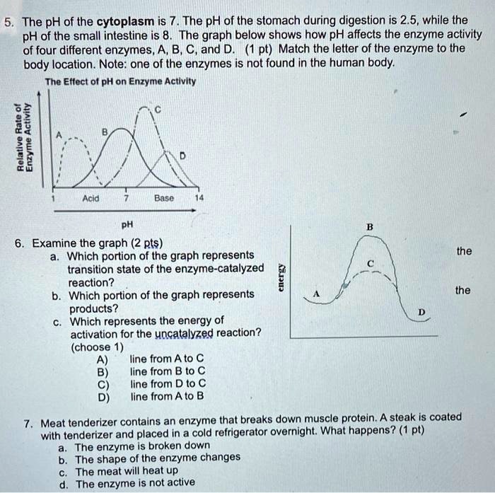 the ph of the cytoplasm is 7 the ph of the stomach during digestion is ...