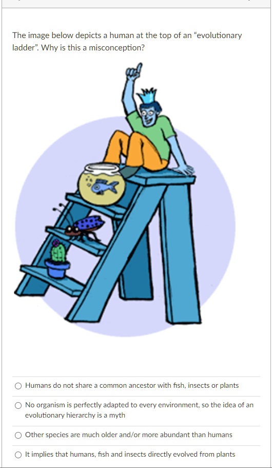 SOLVED: The image below depicts a human at the top of an "evolutionary ...