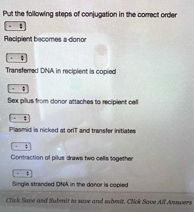 Put the following steps of conjugation in the correct order Recipient becomes a donor ...