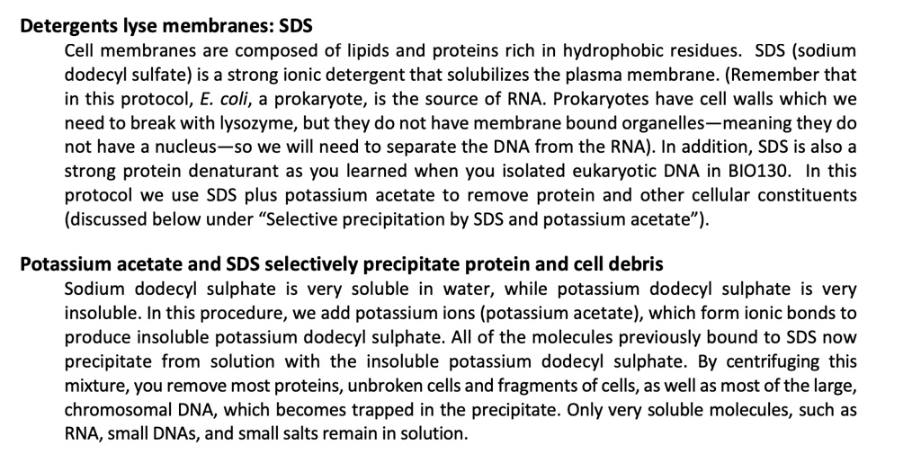 SOLVED: Detergents in Cell Membranes: SDS Cell membranes are composed ...