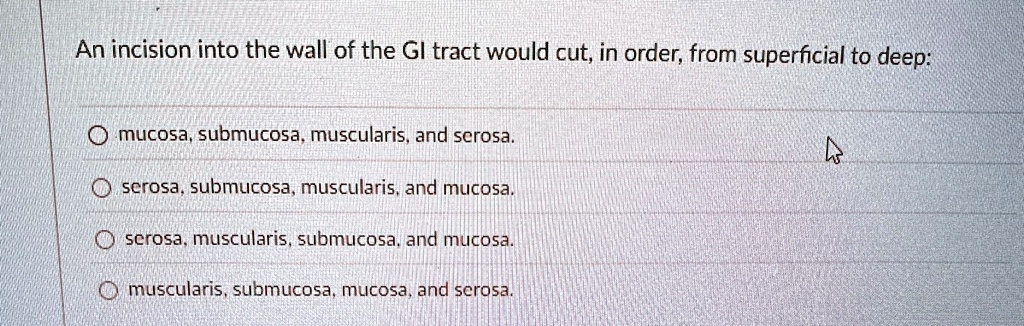 An incision into the wall of the GI tract would cut, in order, from ...
