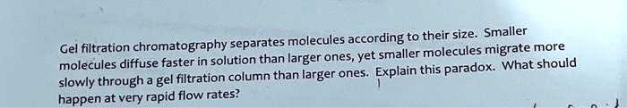 SOLVED: Gel filtration chromatography separates molecules according to ...
