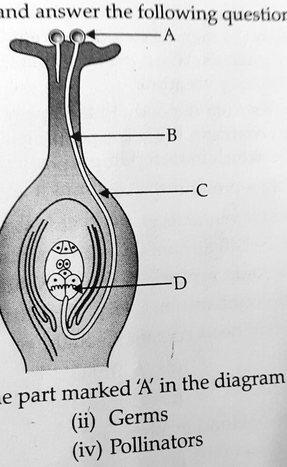 SOLVED: (A) Sample Question Papers Dec 18. Study the diagram given ...