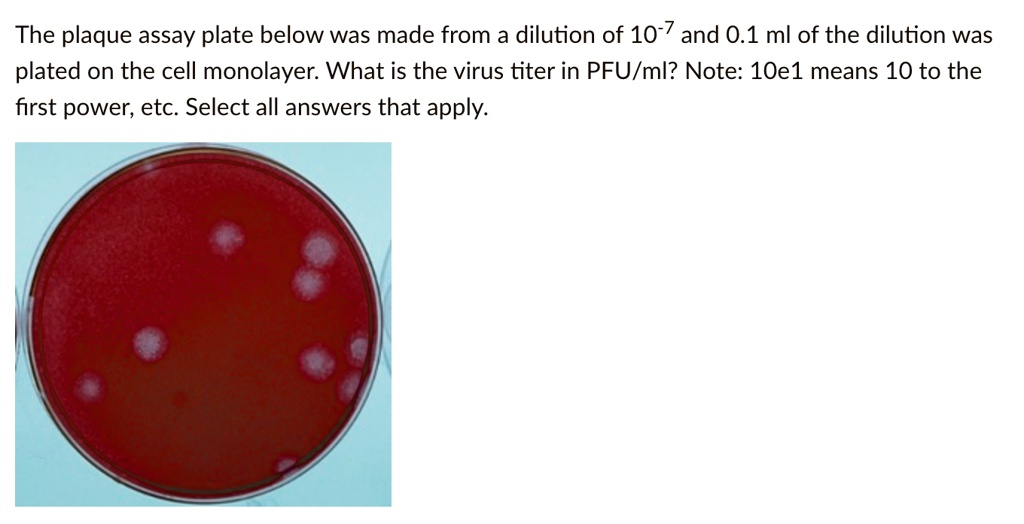 The plaque assay plate below was made from a dilution of 10^(-7) and 0 ...