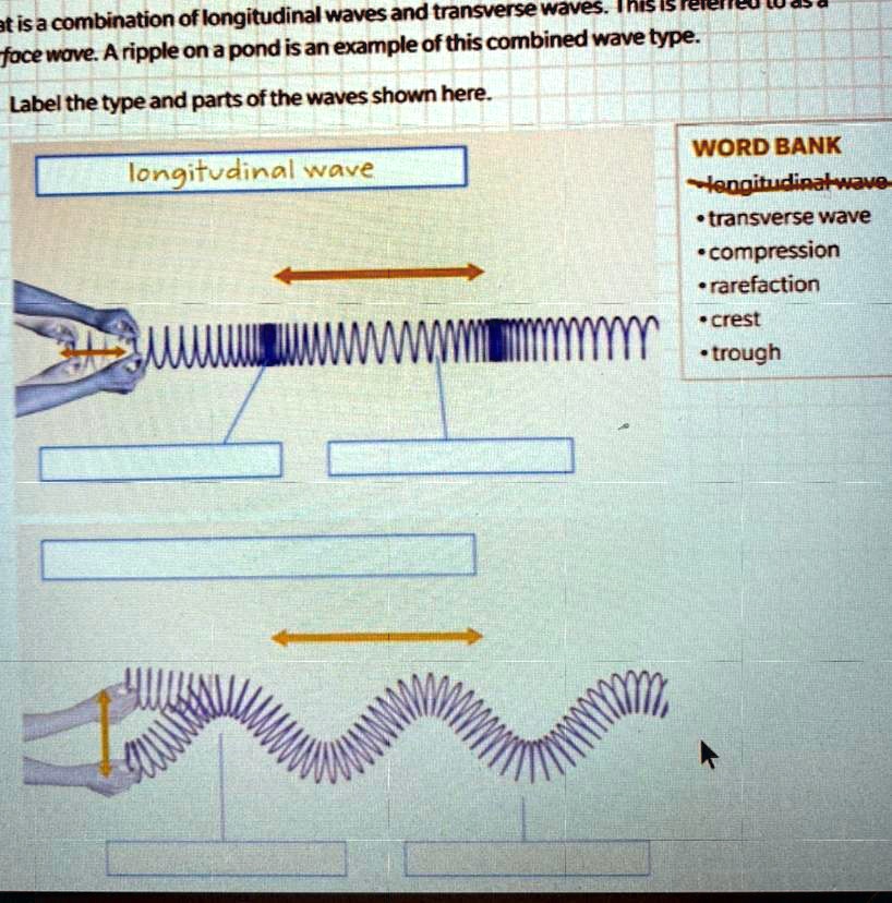 SOLVED: '8. Label the type and parts of the waves shown here ...