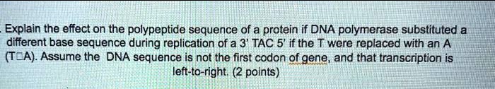 SOLVED: Explain the effect on the polypeptide sequence of a protein if ...