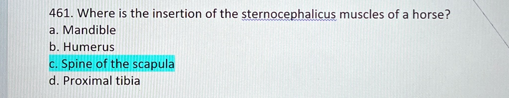 461. Where is the insertion of the sternocephalicus muscles of a horse ...