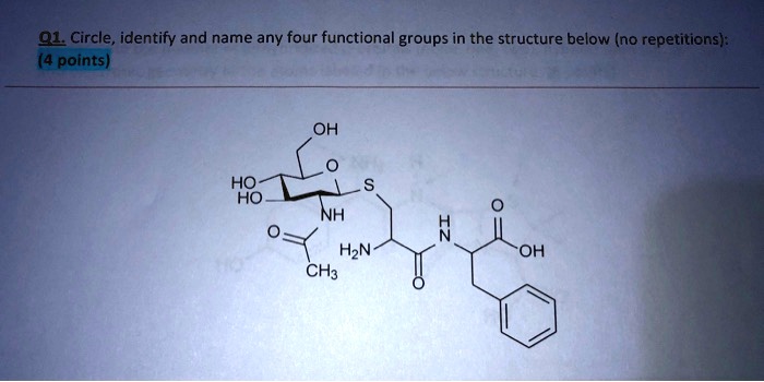 SOLVED: 01 Circle, identify and name any four functional groups in the ... SOLVED: 01 Circle, identify and name any four functional groups in the ...