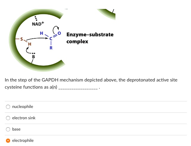 SOLVED: NAD+ Enzyme-substrate complex In the step of the GAPDH ...