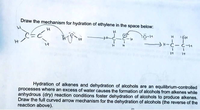 Draw the mechanism for hydration of ethylene in the space...