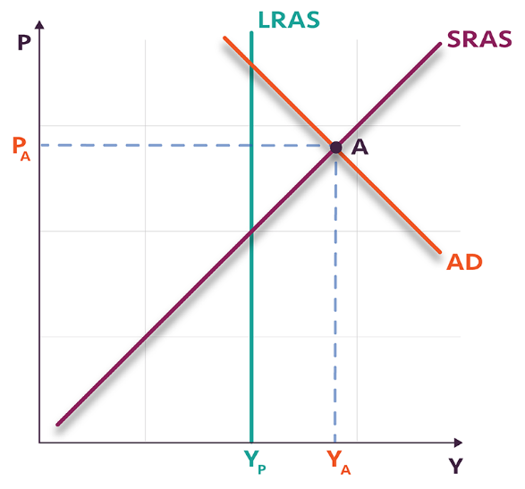 SOLVED: For this graph, the y-axis is labeled P and the x-axis is ...