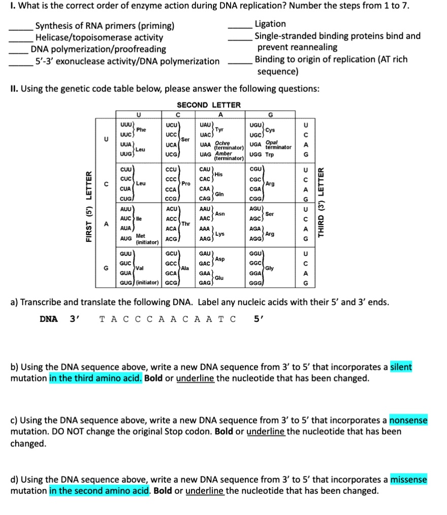 what is the correct order of enzyme action during dna replication number the steps from 1 to 7 ...