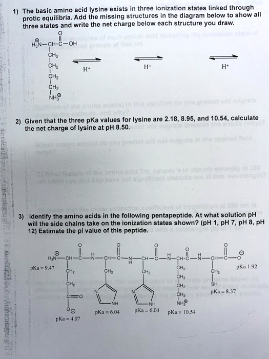 1) The basic amino acid lysine exists in three ionization...