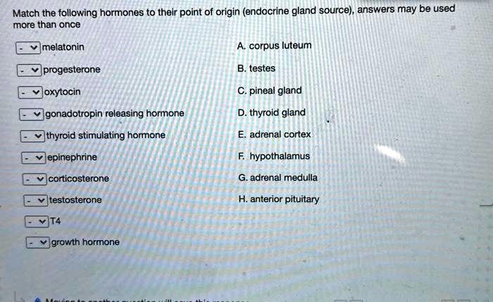 match the following hormones to their point of origin endocrine gland ...