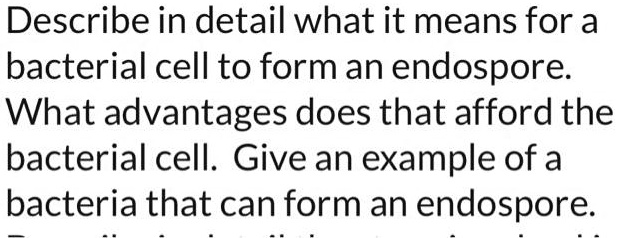 SOLVED: Text: Describe in detail what it means for a bacterial cell to ...