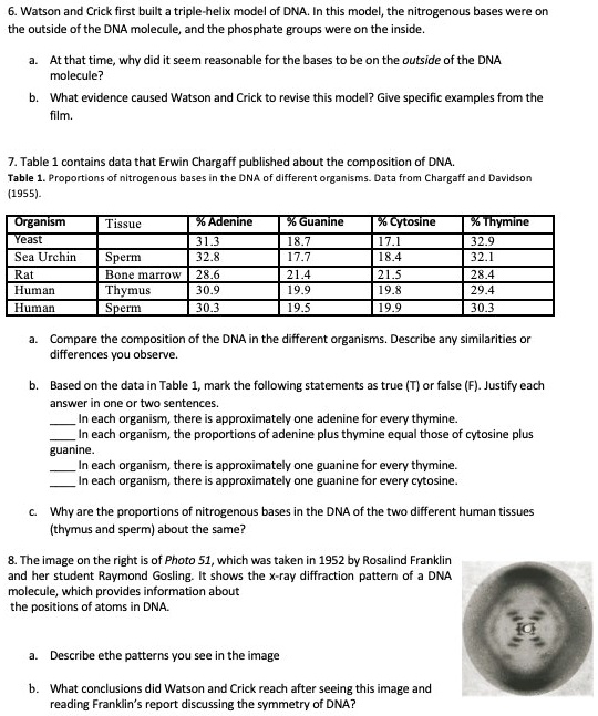 6. Watson and Crick first built a triple-helix model of DNA. In this ...