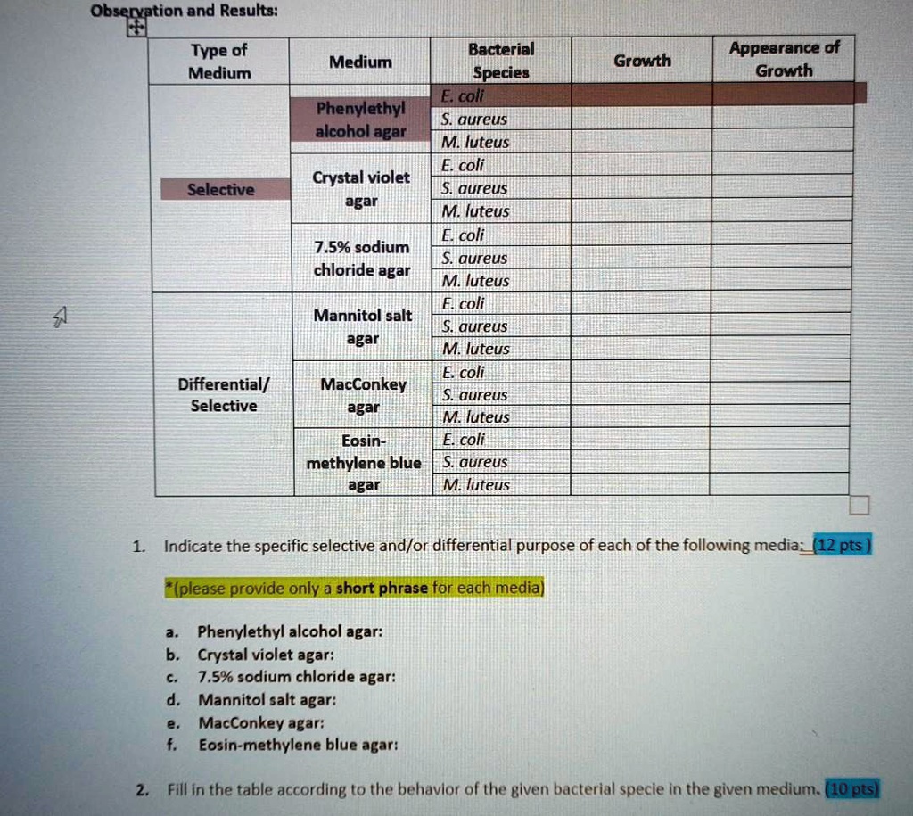 obseryvation and results type of medium bacterial medium species ...