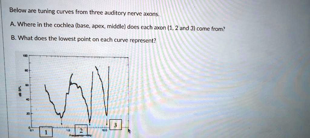 Below are tuning curves from three auditory nerve axons...
