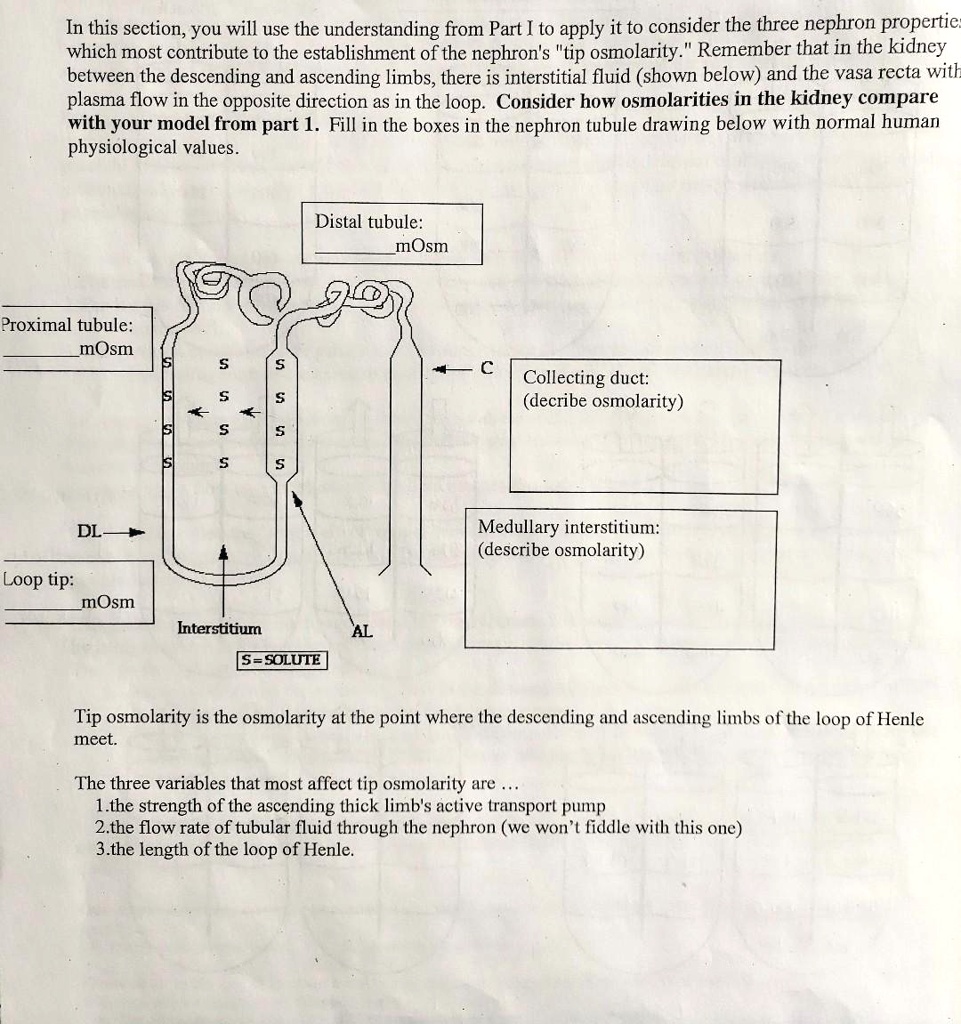 plasma flow in the opposite direction as in the loop consider how ...