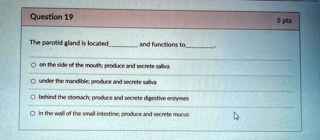 Question 19 The Parotid Gland Is Located And Functions To On The Side Of The Mouth Produce