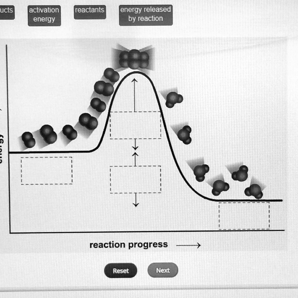 'Identify the four parts of the potential energy diagram products ...