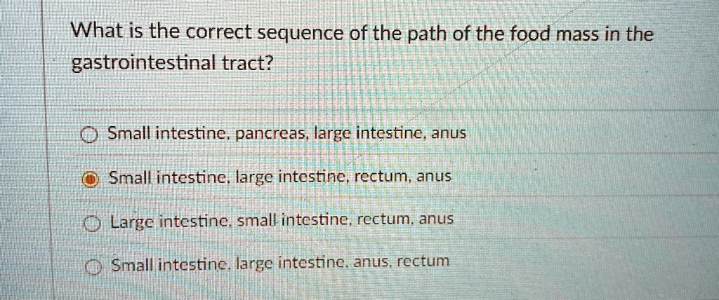 What is the correct sequence of the path of the food mass in the ...