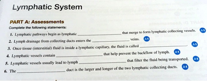 SOLVED: Laboratory Assessment 49: Lymphatic System need help with ...