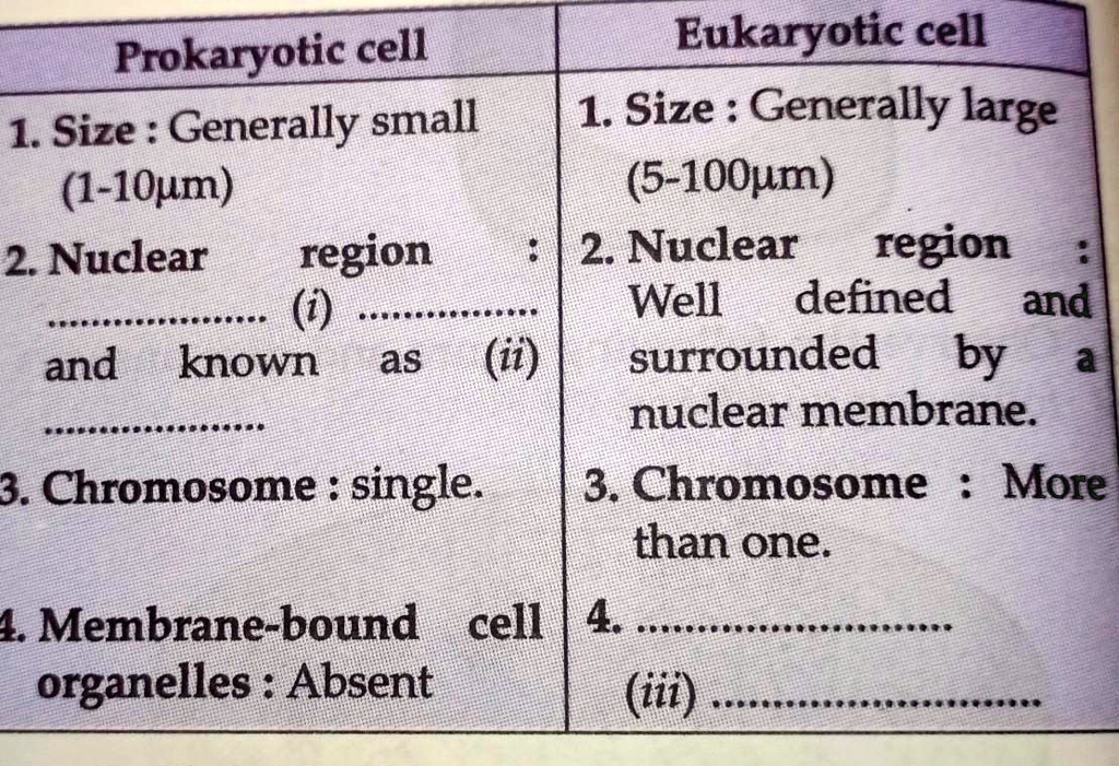 Prokaryotic Eukaryotic Cells Differences Examples, 44% OFF Prokaryotic Eukaryotic Cells Differences Examples, 44% OFF