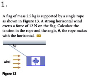 a flag of mass 25 kg is supported by a single rope as shown in figure ...