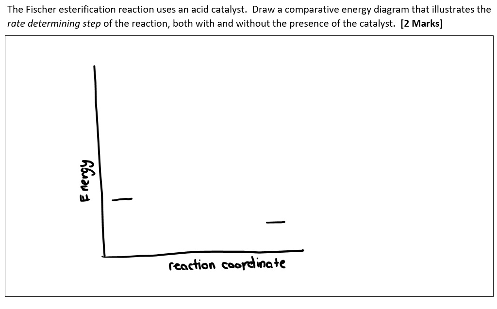 the fischer esterification reaction uses an acid catalyst draw a ...