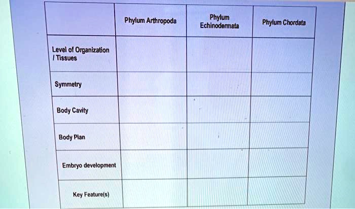 [GET ANSWER] Level of Organization / Tissues Symmetry Body Cavity Body ...