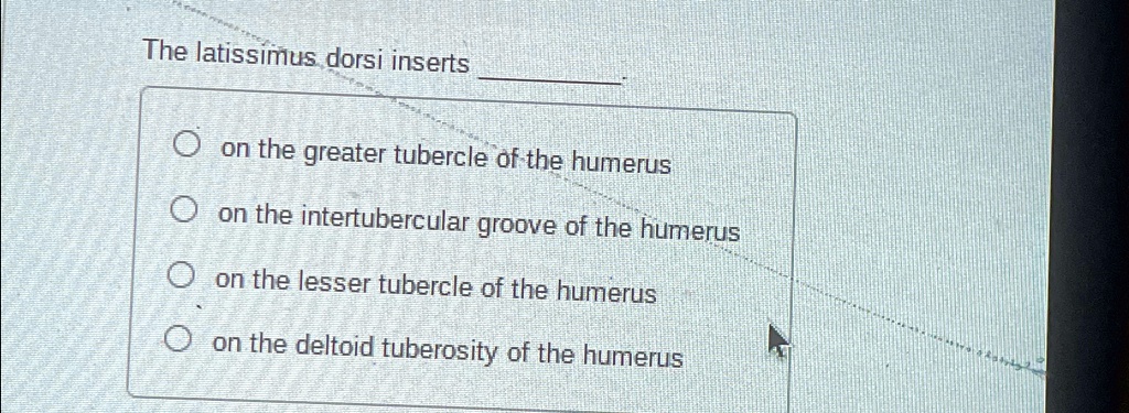 the latissimus dorsi inserts on the greater tubercle of the humerus on ...