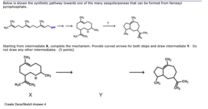 SOLVED:Belcy shown the synthetlc Daraway towards pyrophosphate Wa ...