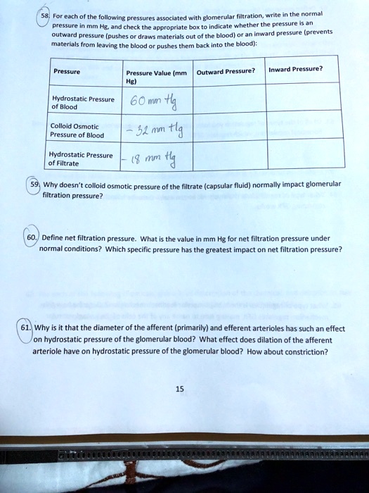SOLVED: Pressure Pressure Value (mm Hg) Inward Pressure? Hydrostatic Pressure 60 mm Hg Colloid ...