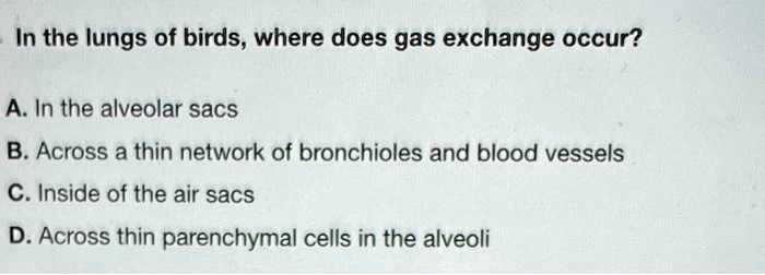 SOLVED: In the lungs of birds, where does gas exchange occur? A. In the ...
