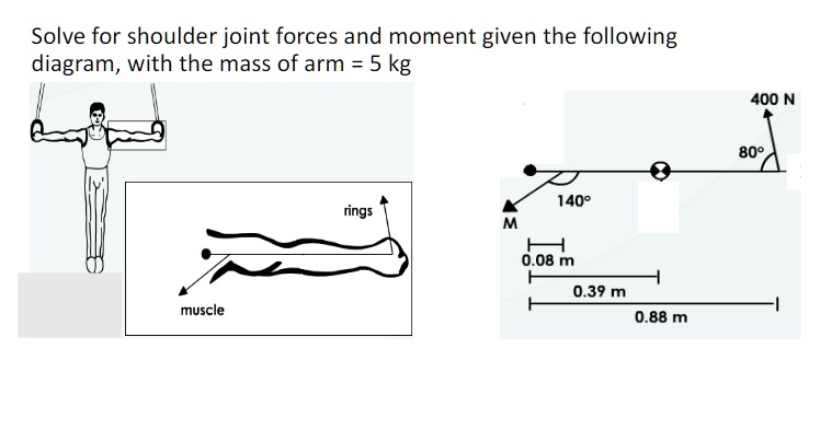 Solve for shoulder joint forces and moment given the following diagram ...