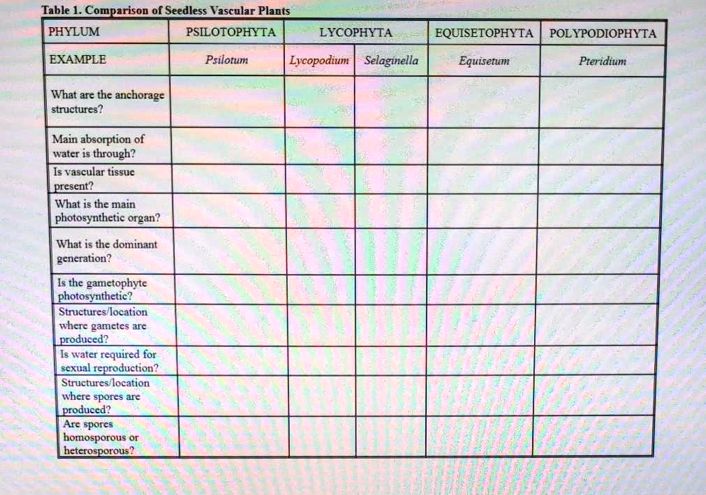 Table l comparison of seedless vascular plants phylum...