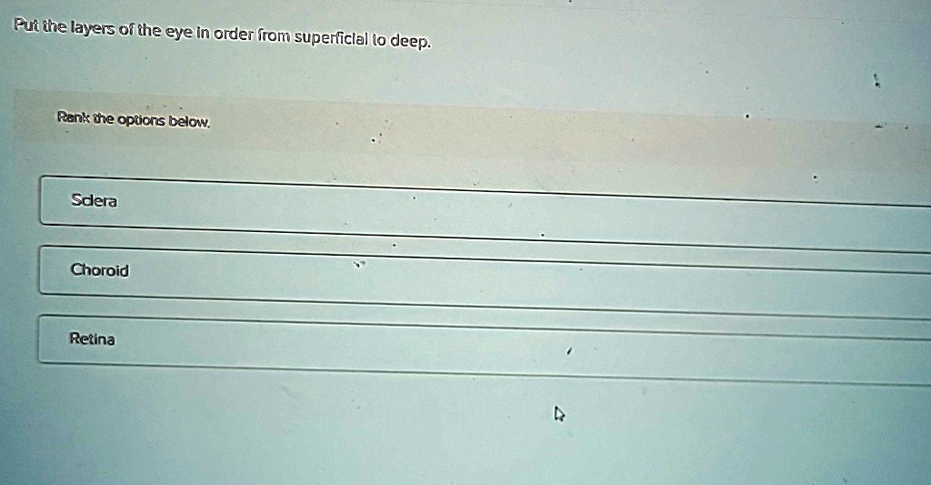 Put the layers of the eye in order from superficial to deep. Rank the ...
